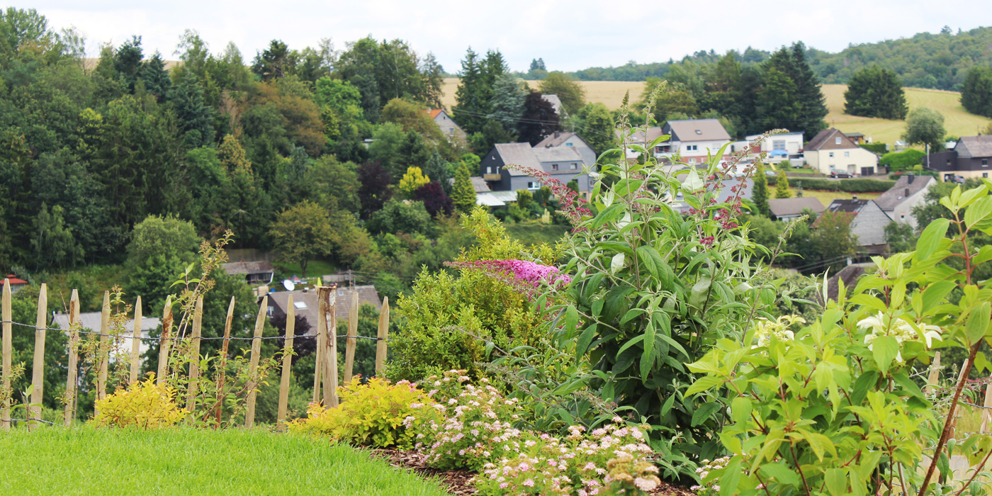 Umgebung - WaldWasserHaus